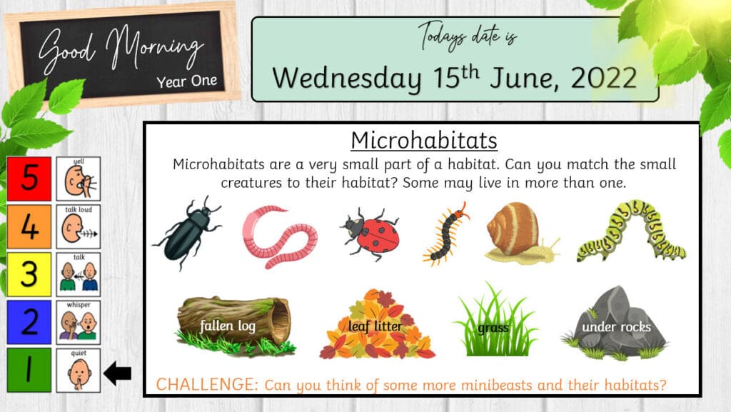 Morning Activities for Year 1 (Summer 2) | Mr P's Resources