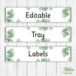 Tray & Peg Labels | Mr P's Resources