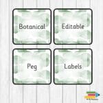 Tray & Peg Labels | Mr P's Resources